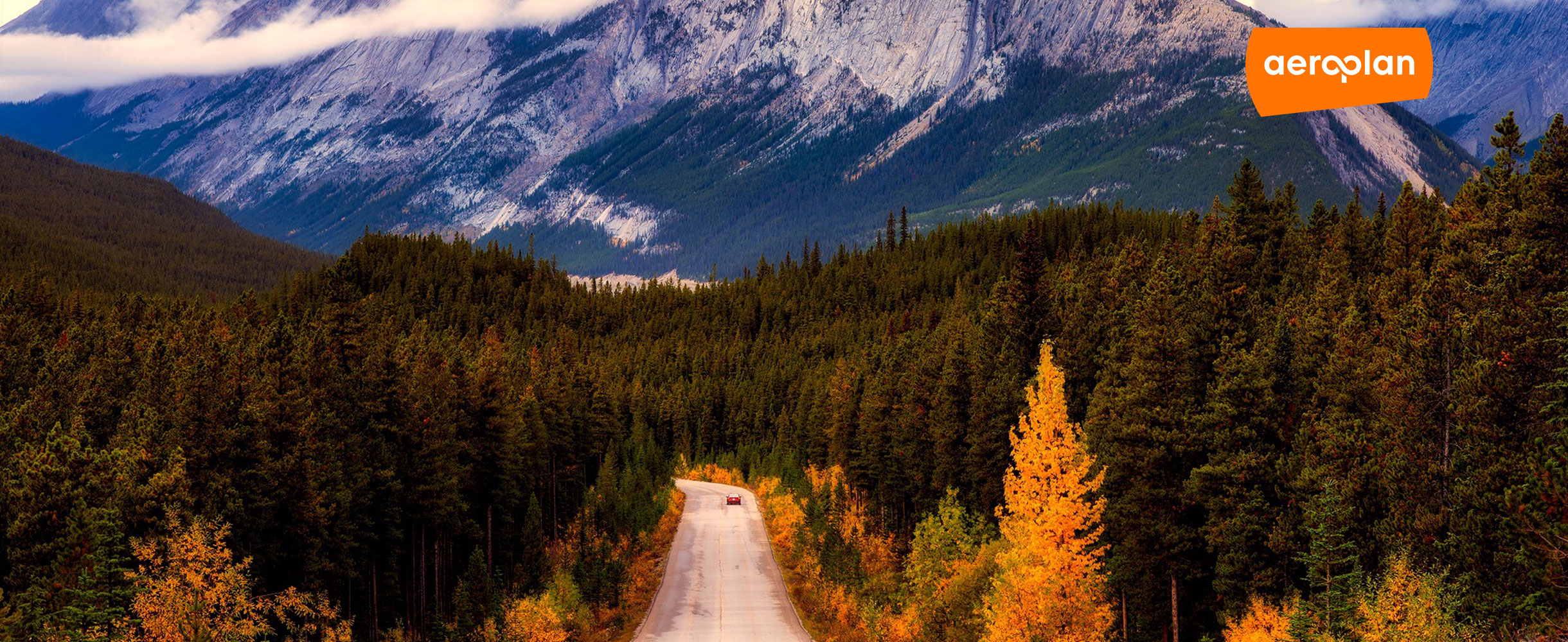 Car Rentals from Avis, Book Online Now & Save | Avis Rent a Car